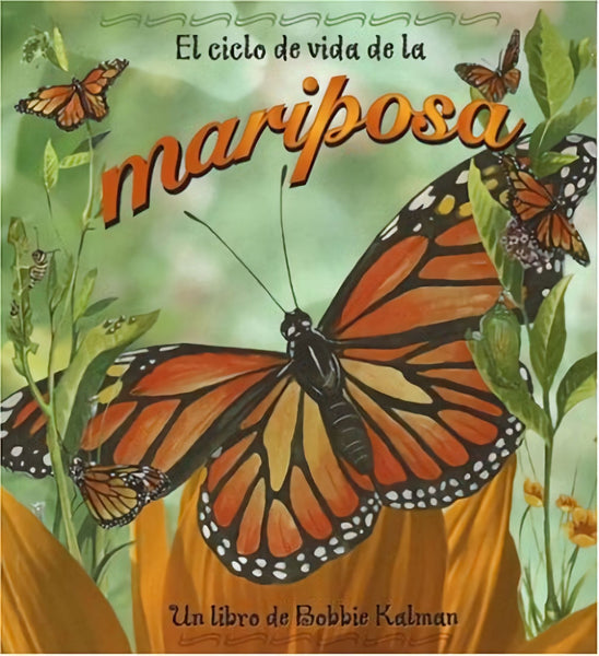 El Ciclo De Vida De La Mariposa -Life cycle of a butterfly (Spanish ...