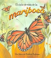 El Ciclo De Vida De La Mariposa -Life cycle of a butterfly (Spanish ...